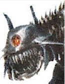 Ravage Revealed From Transformers 2?