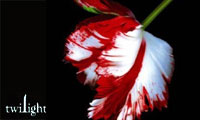 new-moon | The Movie Blog