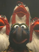 Muppets Tribute Queen's Bohemian Rhapsody