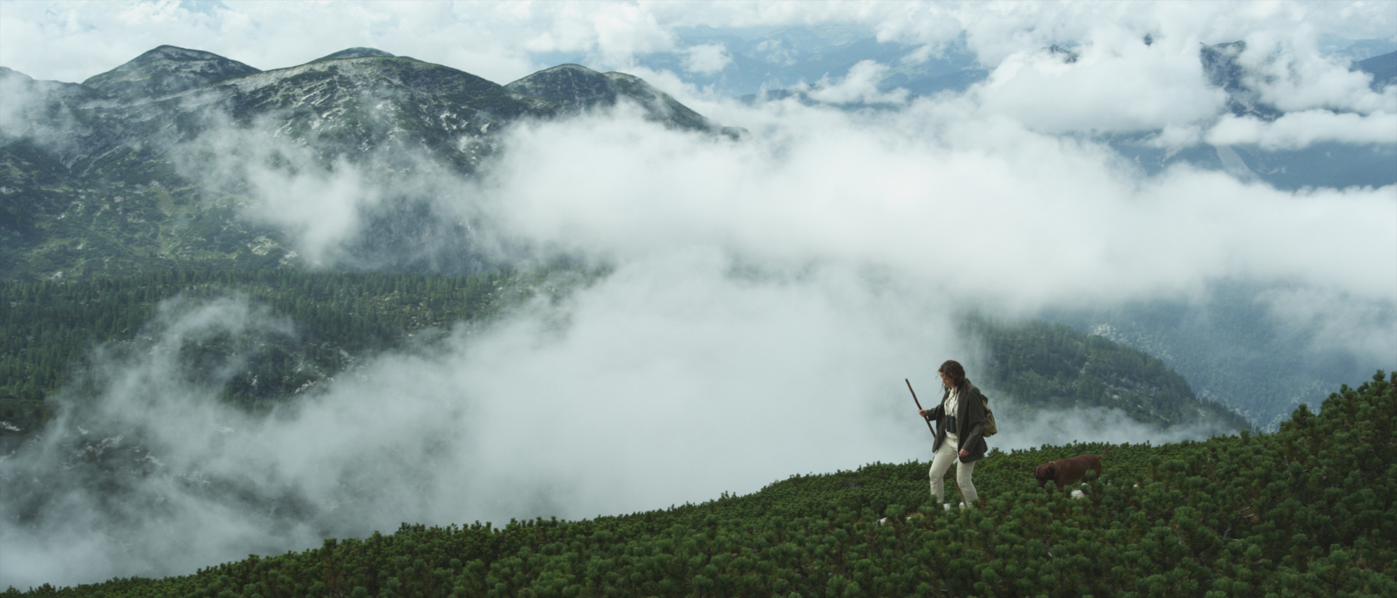 The Wall Official Trailer