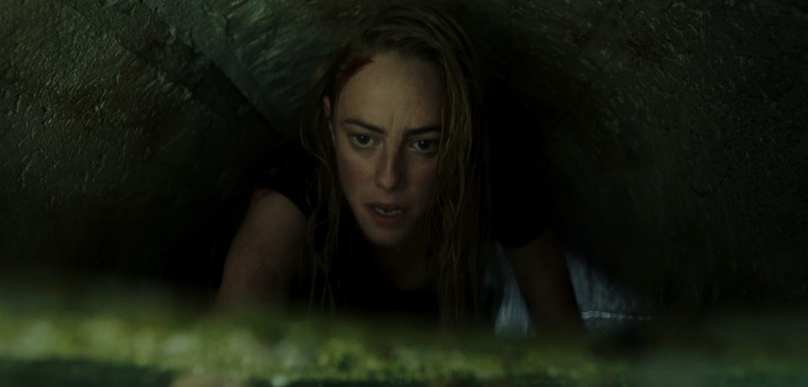 Review: Forget Jaws, 'Crawl' Had Me Shook!