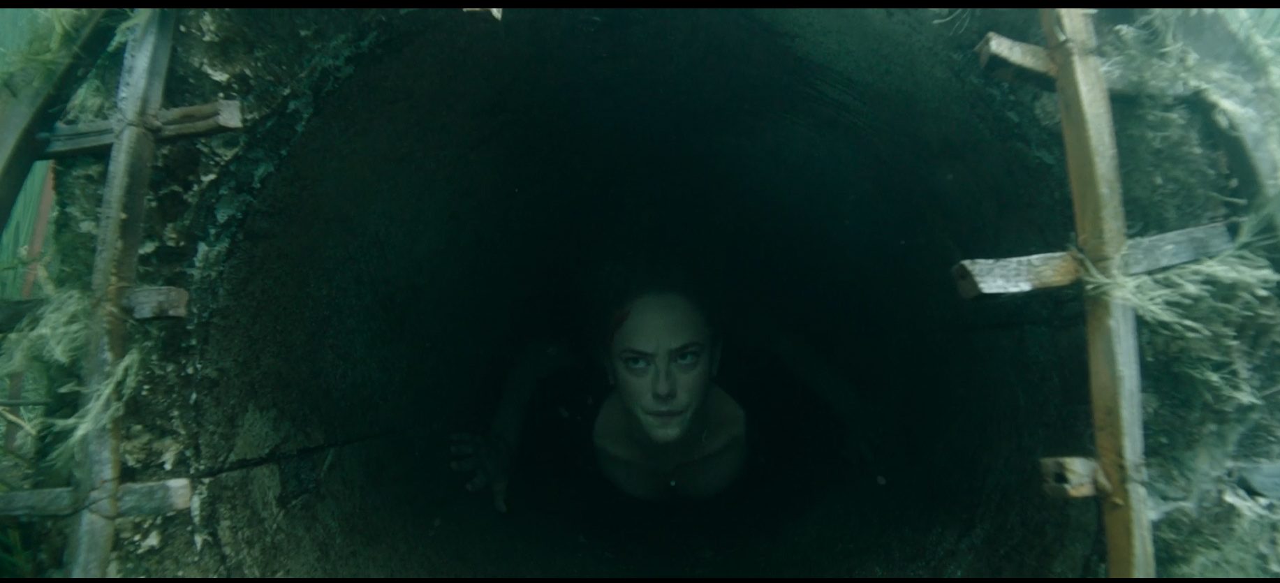 Review: Forget Jaws, 'Crawl' Had Me Shook!