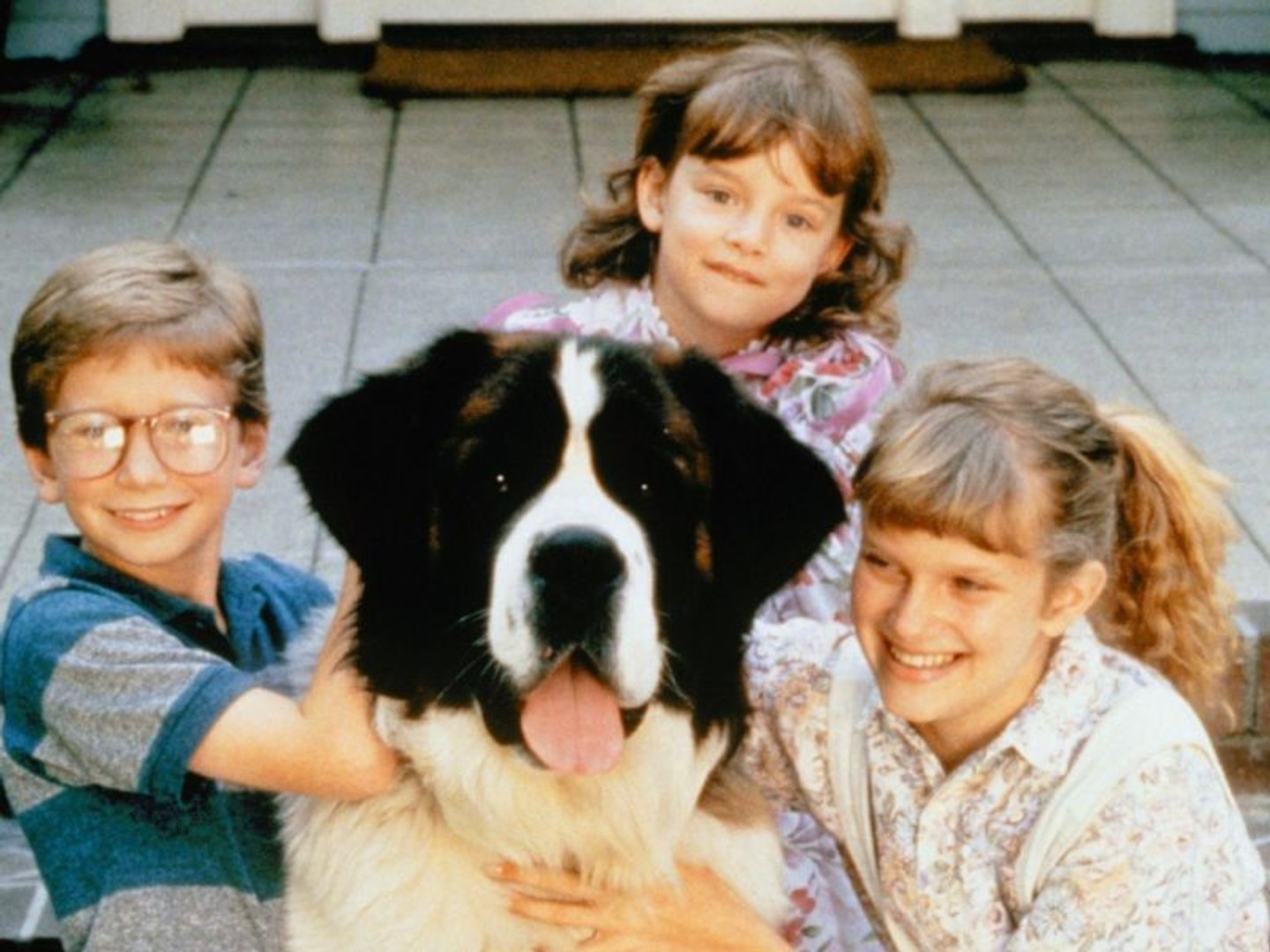 Famous Movie-Star Dogs That Stole Our Hearts