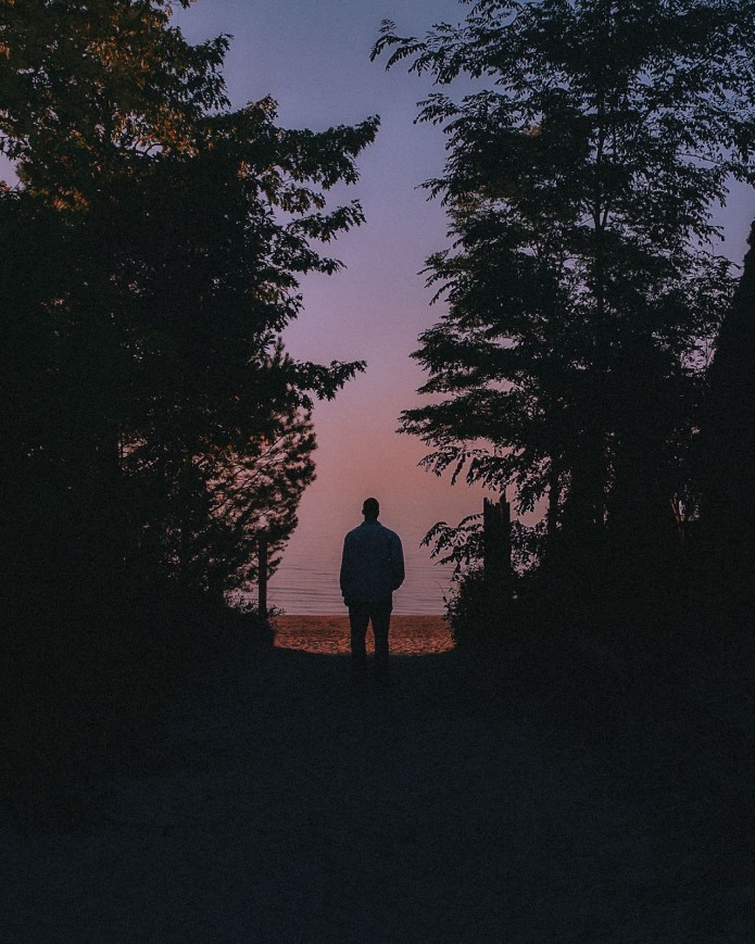 Wake-2021 | The Movie Blog