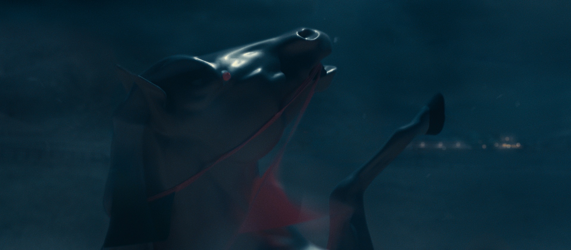NOPE | The Movie Blog