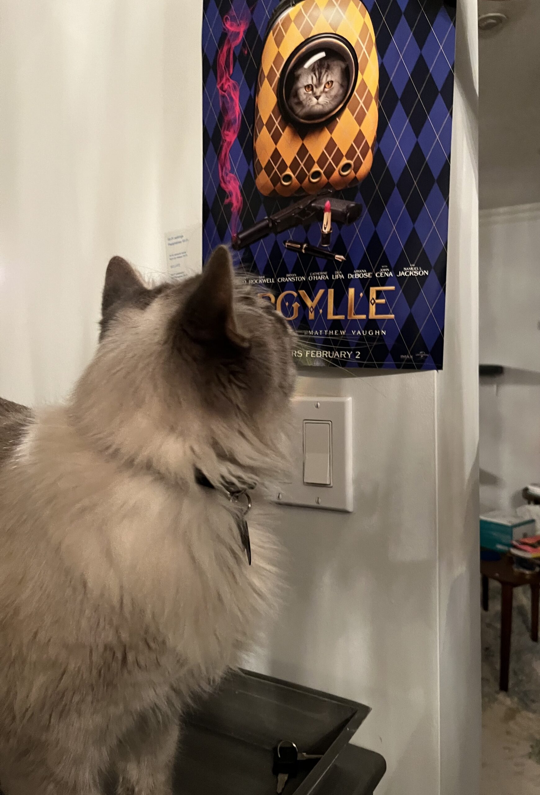 Argylle Movie Review - The Cat Is Out of the Bag