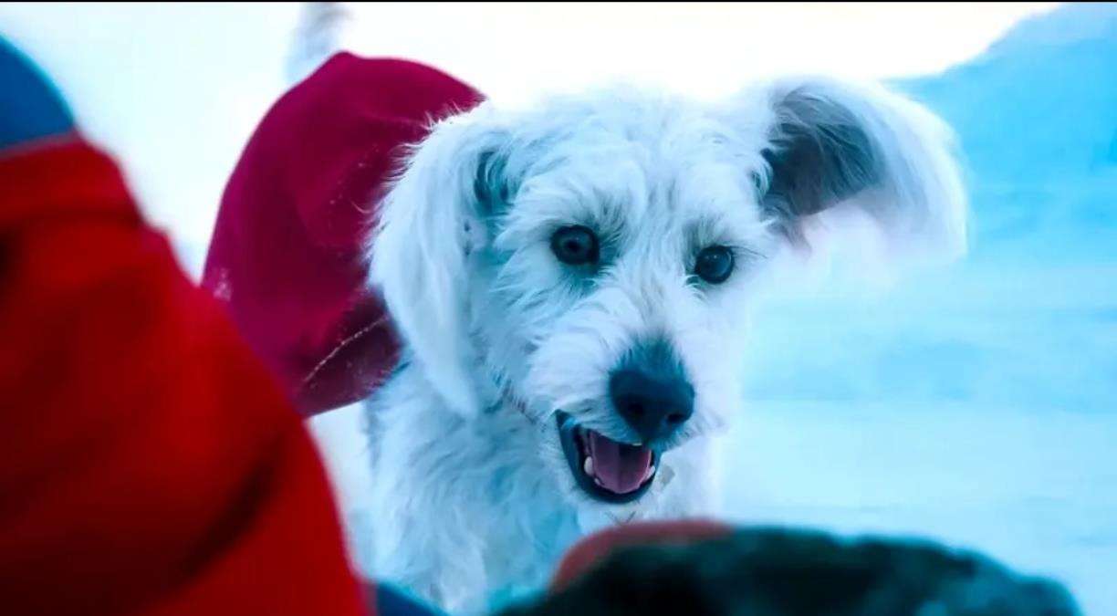 Krypto’s Wild Origin in James Gunn’s Superman Movie
