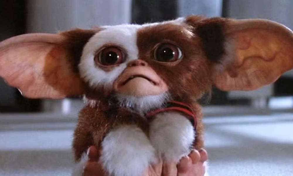 Gremlins 3 Archives | The Movie Blog