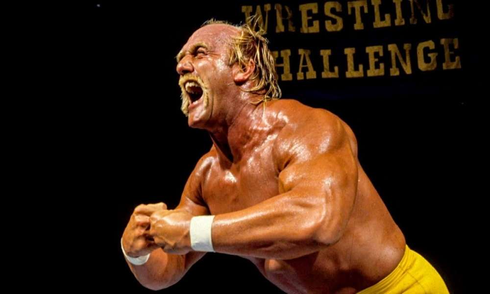 WWE Monday Night Raw Netflix Highlights: Hogan Tribute and More