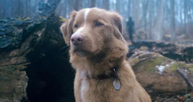 One Battle After Another Review: A Ferocious, Chaotic Epic