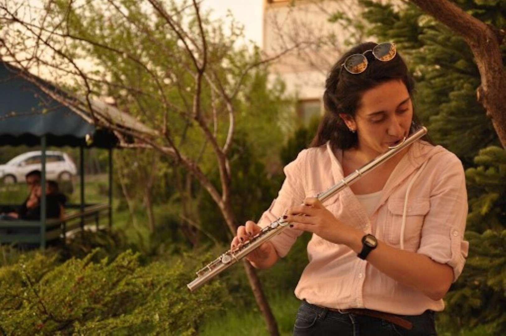 How Flute Music Shapes Emotional Responses in Film