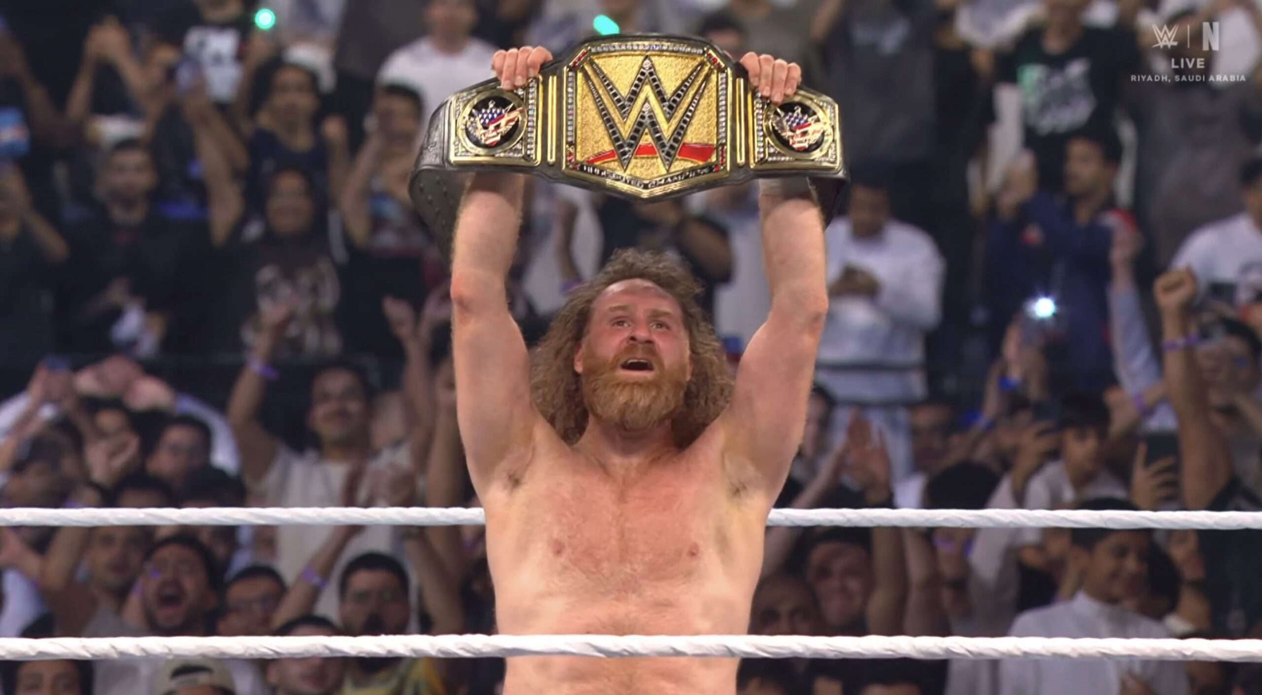 Sami Zayn Wins Undisputed WWE Championship at Night of Champions 2026